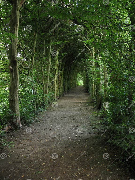 Spooky Pathway stock image. Image of rural, dark, path - 3089005