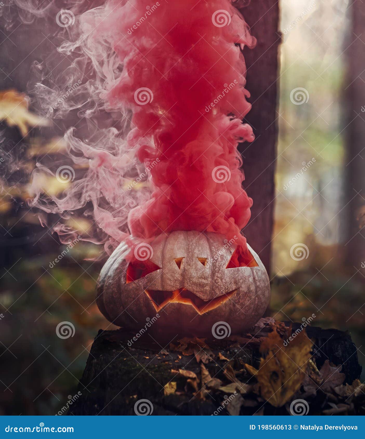 Spooky Pumpkin with Smoke in a Dark Forest Stock Image - Image of ...