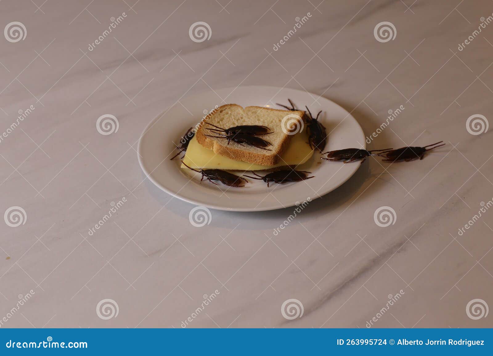 Spooky Sandwich with Lots of Cockroaches Stock Photo - Image of dirt ...