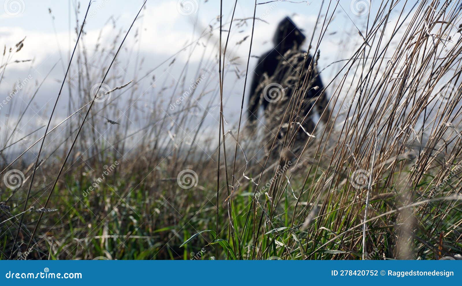 Hidden In The Grass Royalty-Free Stock Image | CartoonDealer.com #311713300