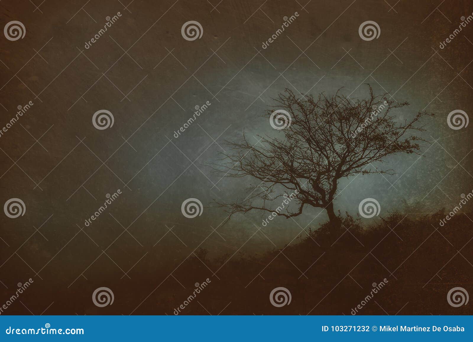 Spooky Scary Tree With Grungy Textures Stock Photo | CartoonDealer.com ...