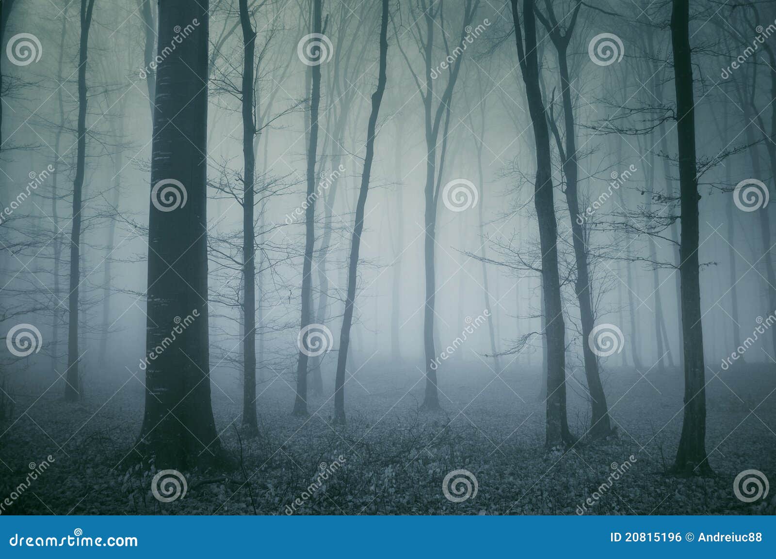 Spooky Scene With Full Moon And Tree House Royalty-Free Stock Photo ...