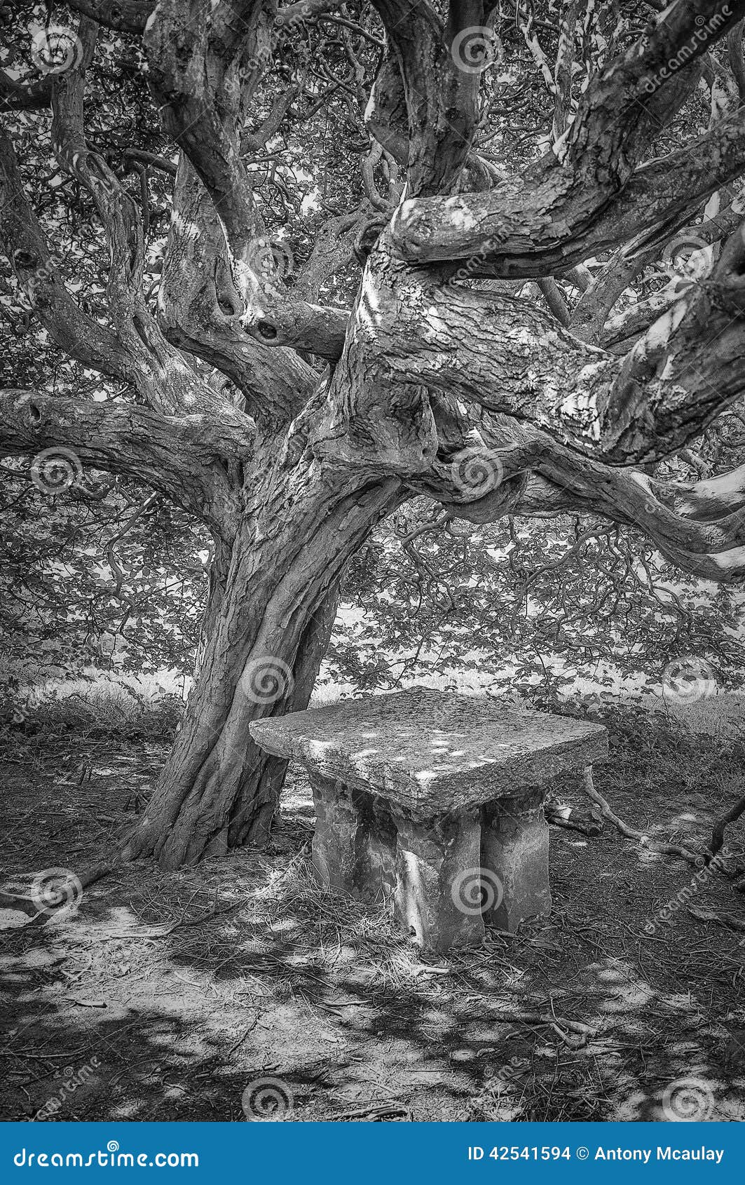 Spooky setting stock photo. Image of concepts, relaxation - 42541594