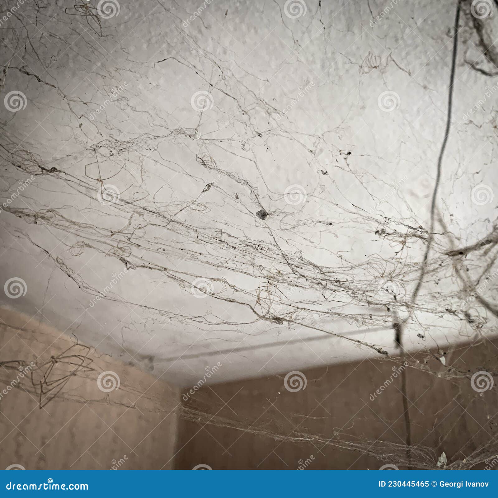 Spooky Spider Web Inside Abandoned House. Stock Image - Image of spider ...