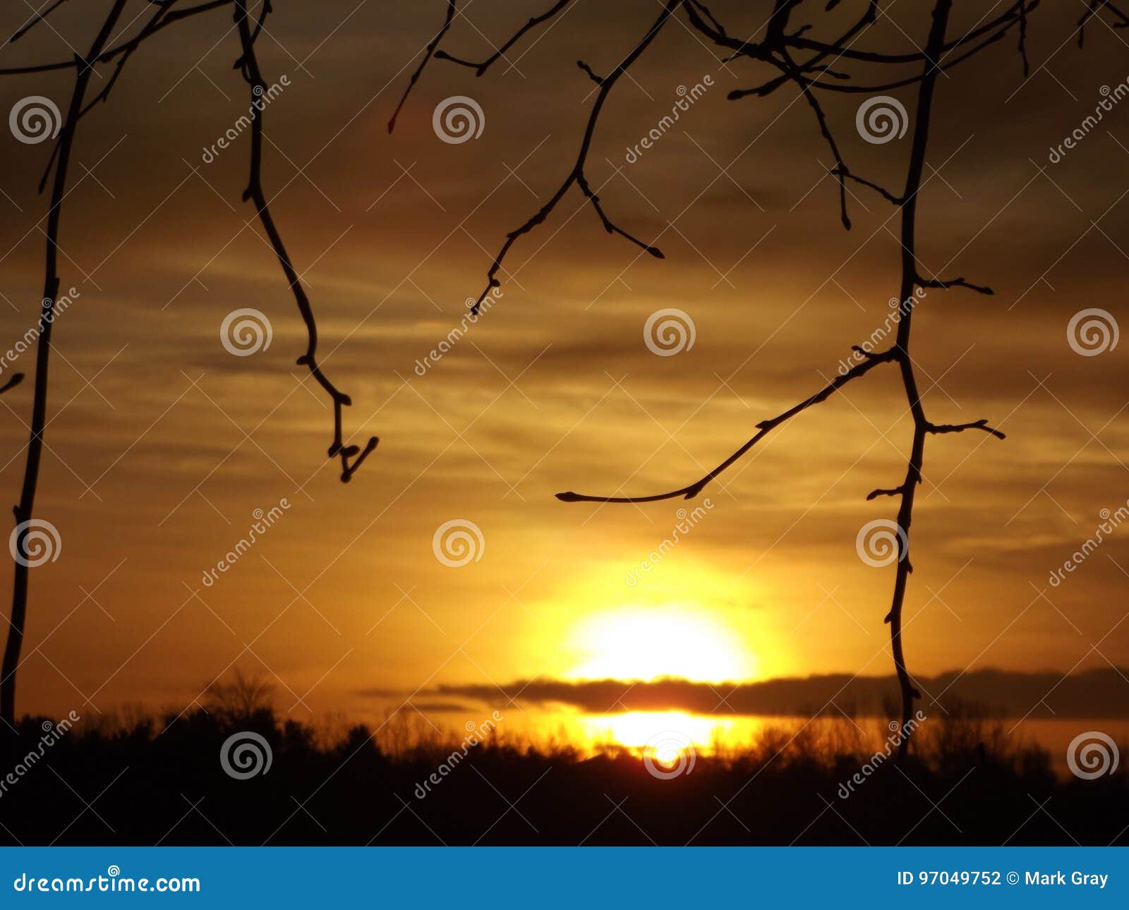 Spooky Sunset stock photo. Image of dark, sunset, spooky - 97049752