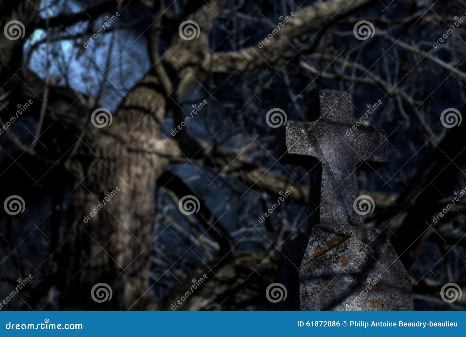 Spooky Tombstone at Night in Front of a Weeping Willow Stock Photo ...
