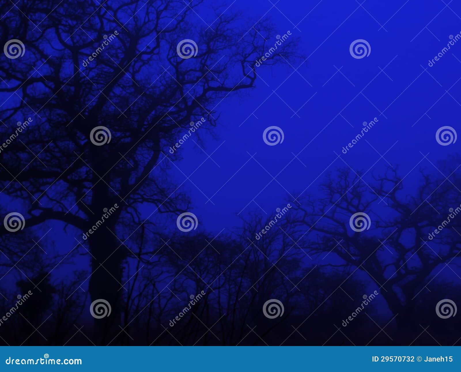 Spooky trees stock photo. Image of horror, abstract, moonlight - 29570732