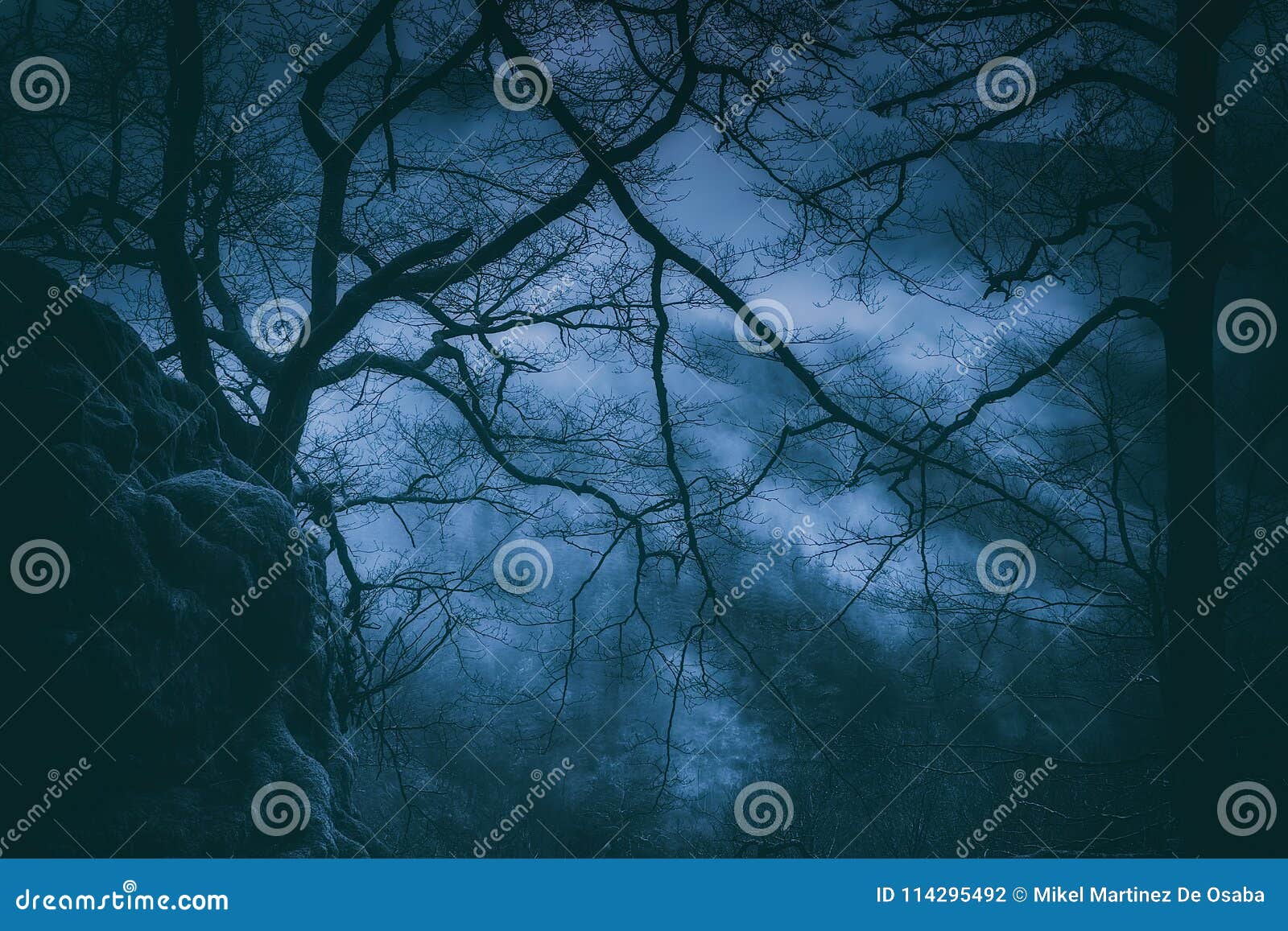 Spooky Trees with Scary Branches at Night Stock Photo - Image of horror ...
