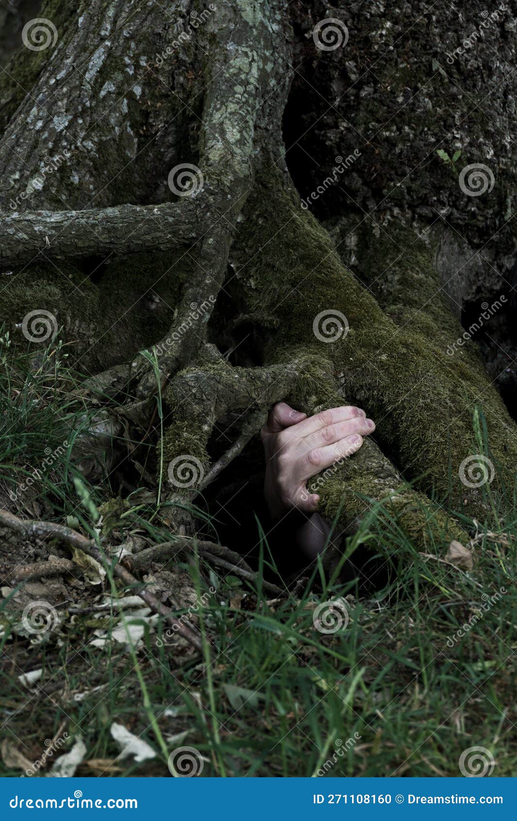 A Spooky Zombie Hand, Emerging from Under a Tree Stock Photo - Image of ...