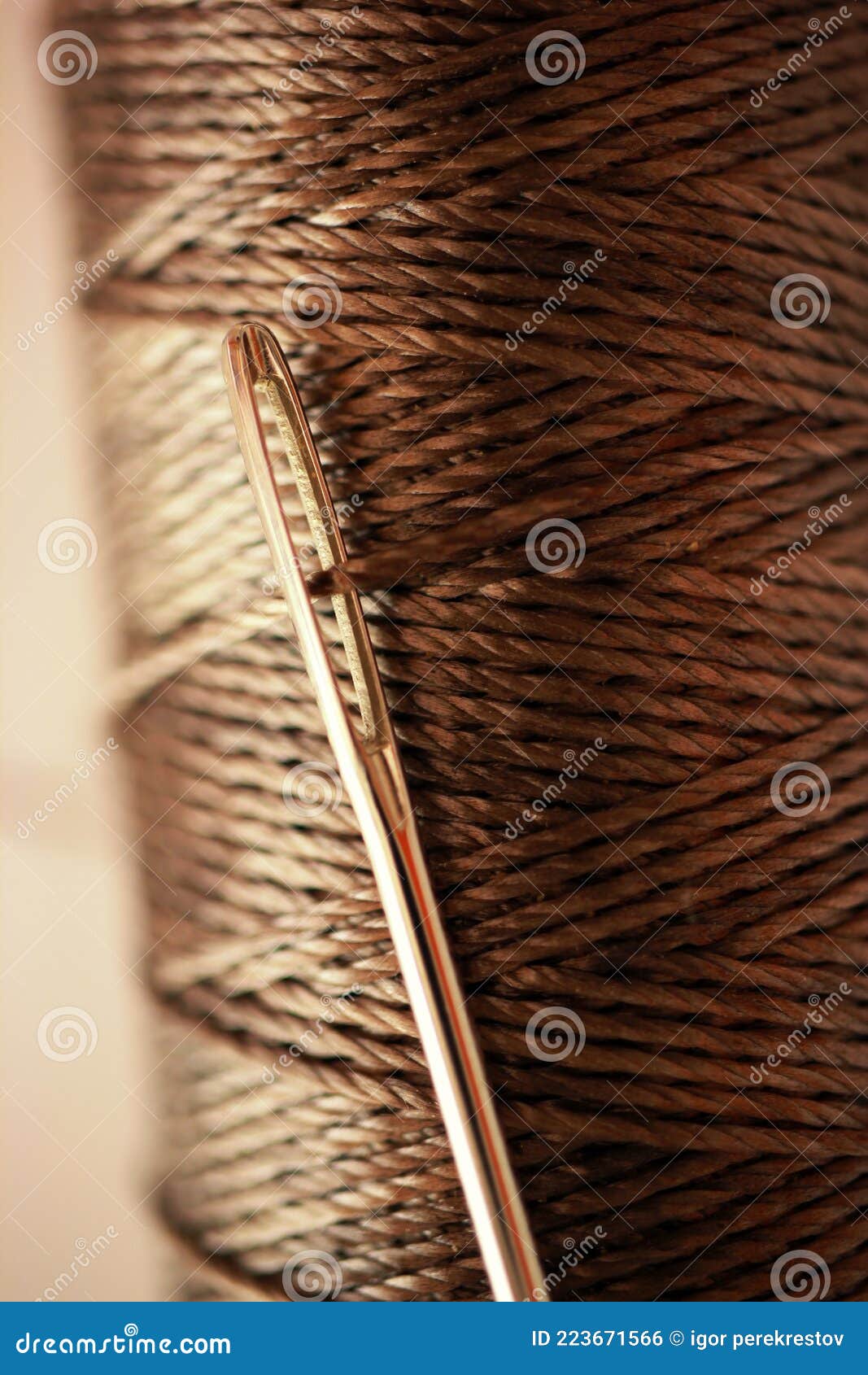 The Spool of Thread Next To the Large Needle with the Eyelet Where the ...