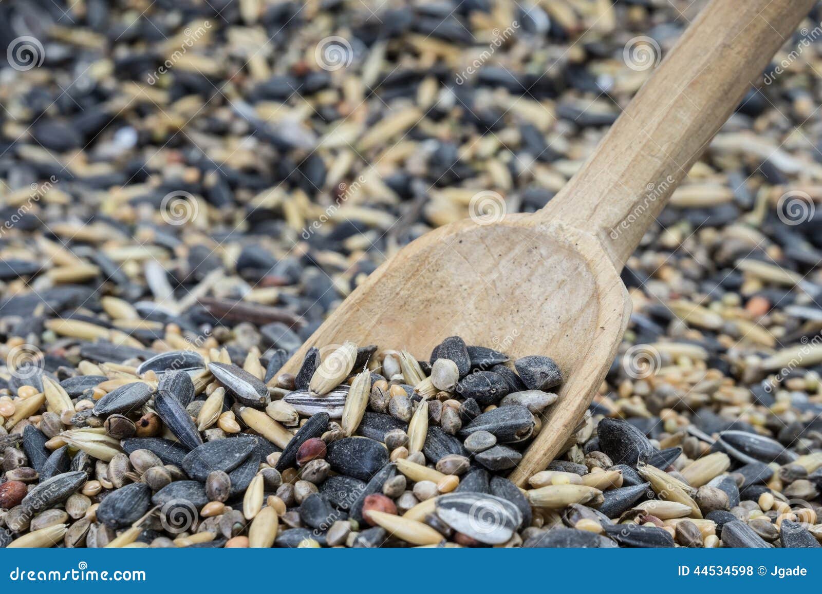 Spoon in bird seed stock photo. Image of brown, spoon - 44534598