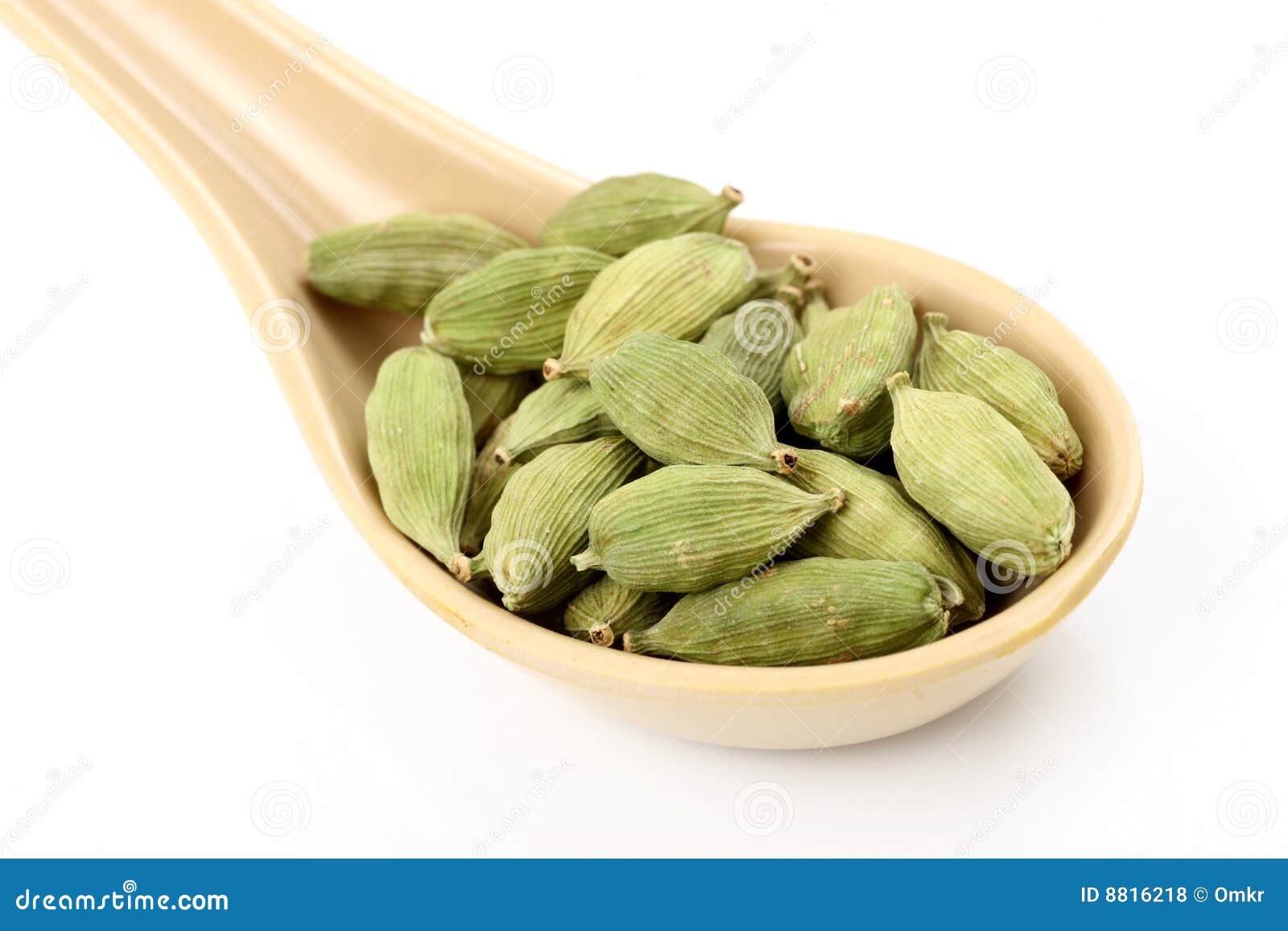 Spoon of cardamon stock photo. Image of pieces, ingredient - 8816218