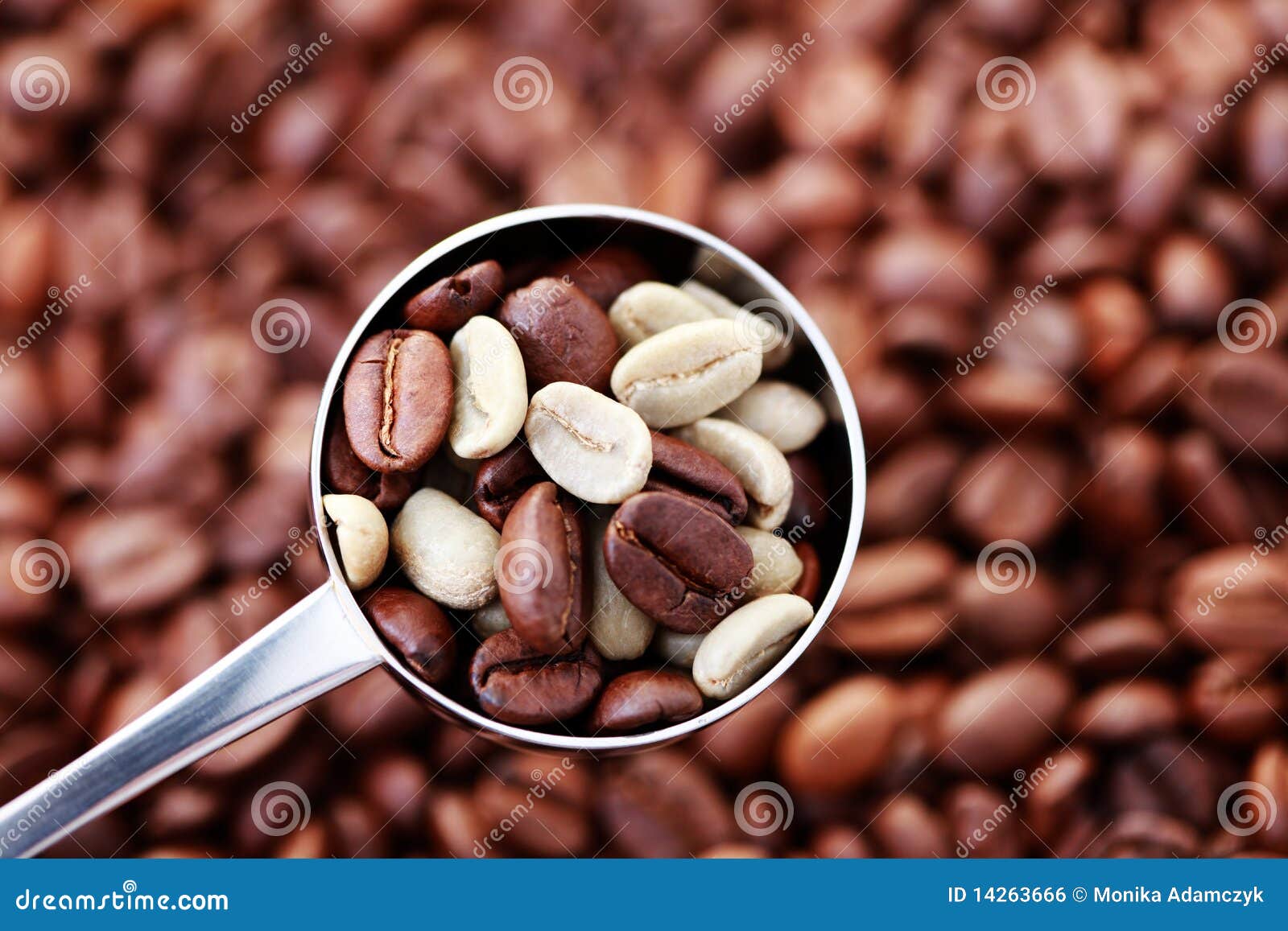 Spoon of coffee beans stock photo. Image of close, crop - 14263666