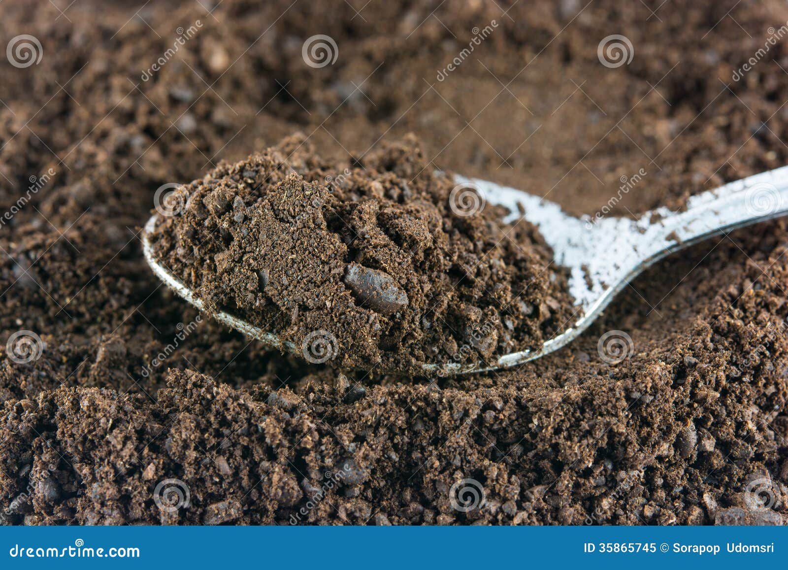 Spoon of coffee stock image. Image of instant, soluble - 35865745