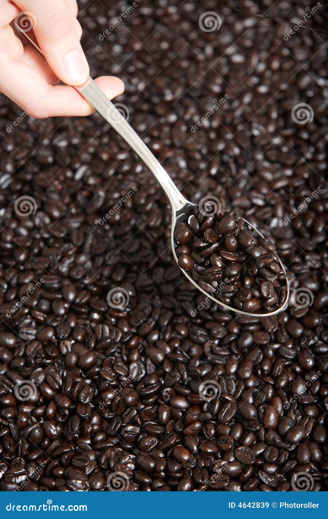 Spoon full of Coffee Beans stock image. Image of scooping - 4642839