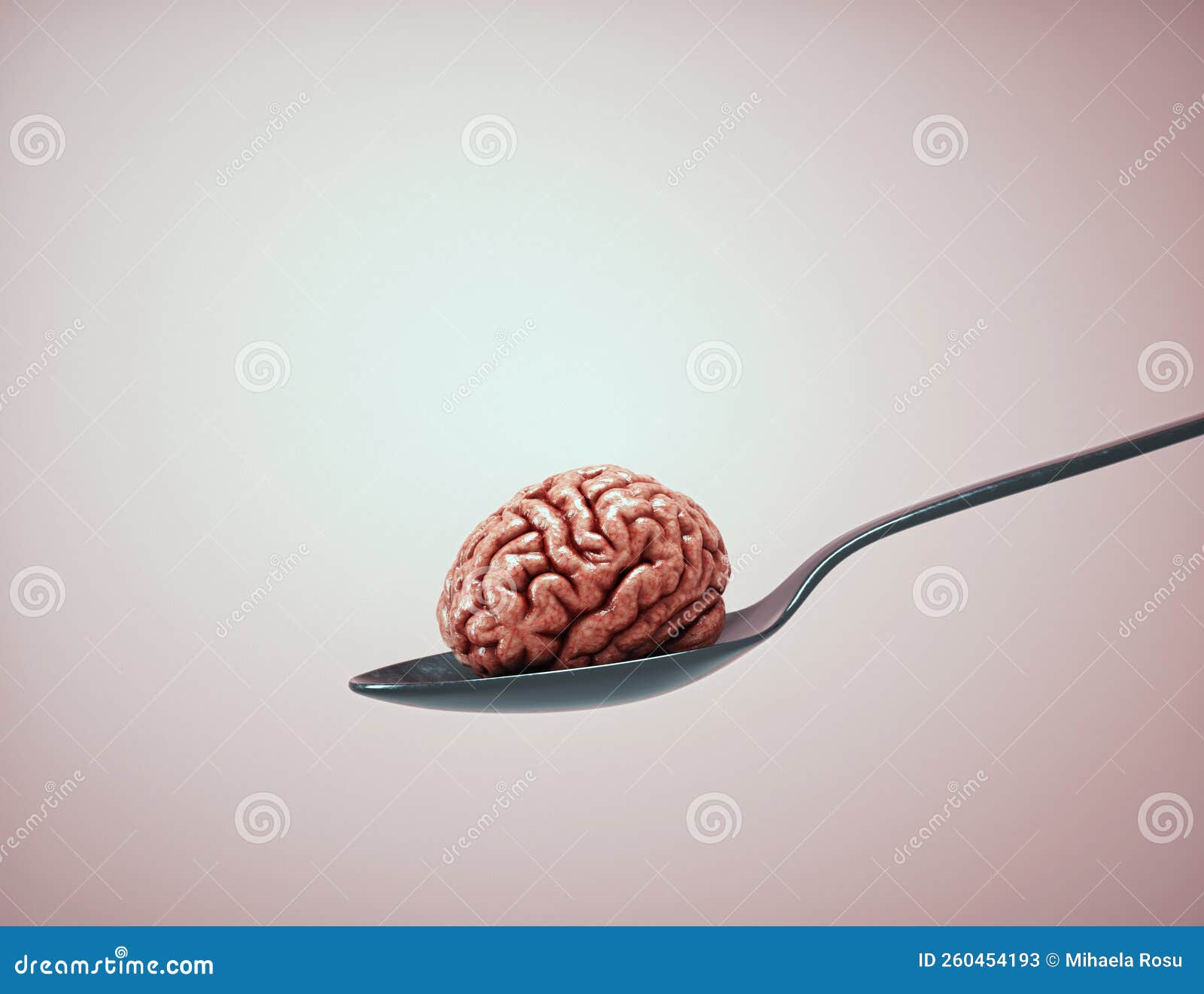 Spoon with a Human Brain. Self Care and Intelligence Concept Stock ...