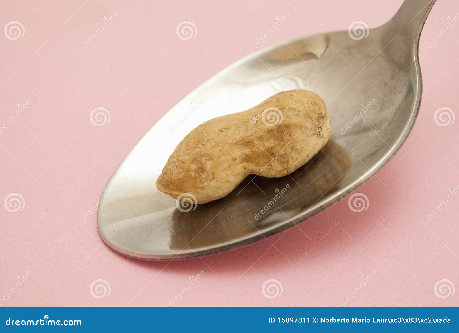 Spoon with peanut stock image. Image of bottom, macro - 15897811