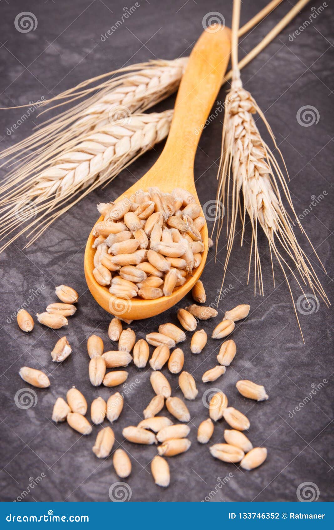 Spoon with Rye or Wheat Grains and Ears of Cereal Stock Photo - Image ...