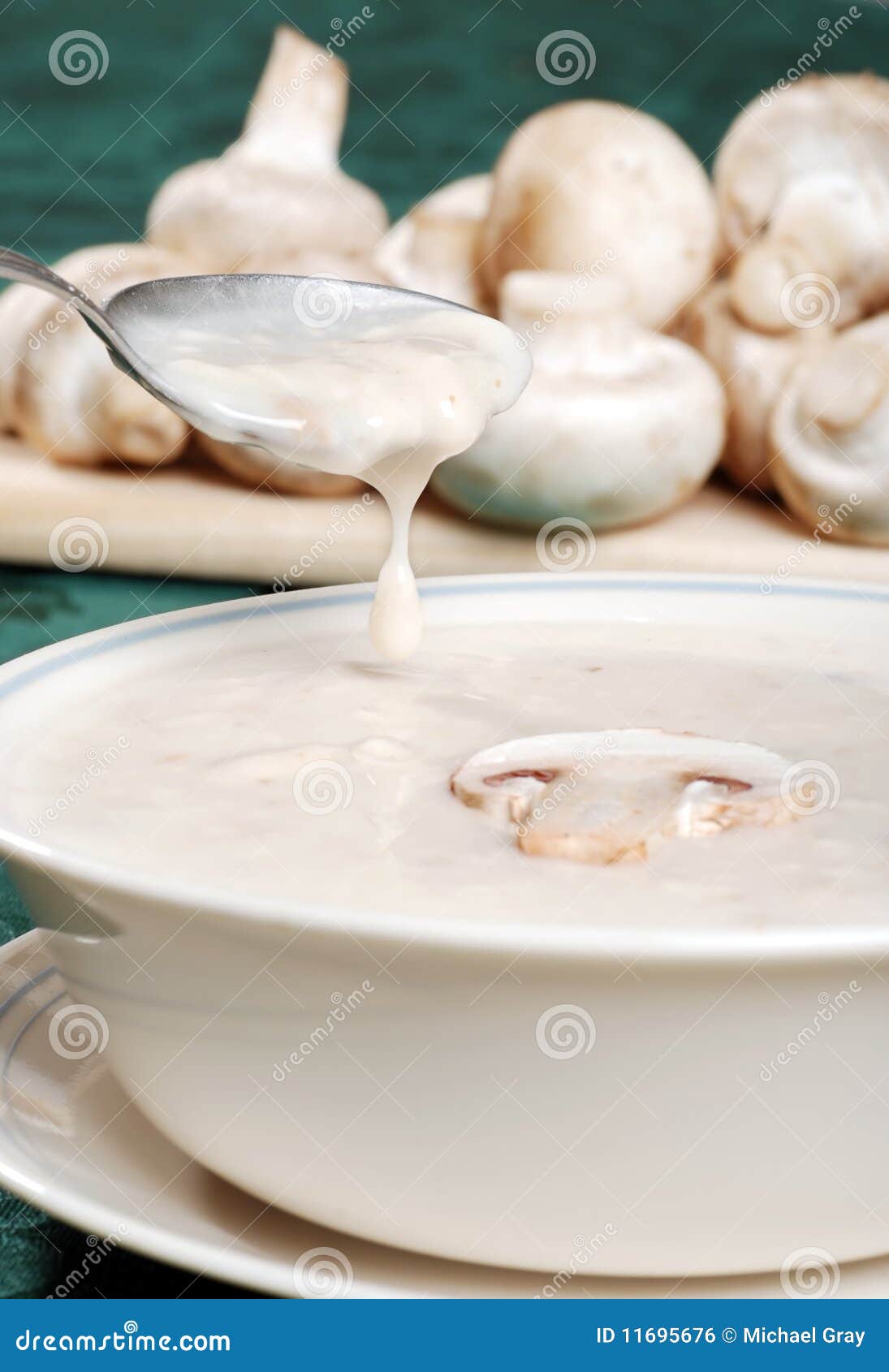Spoon Spilling Mushroom Soup Stock Photo - Image of food, mushrooms ...