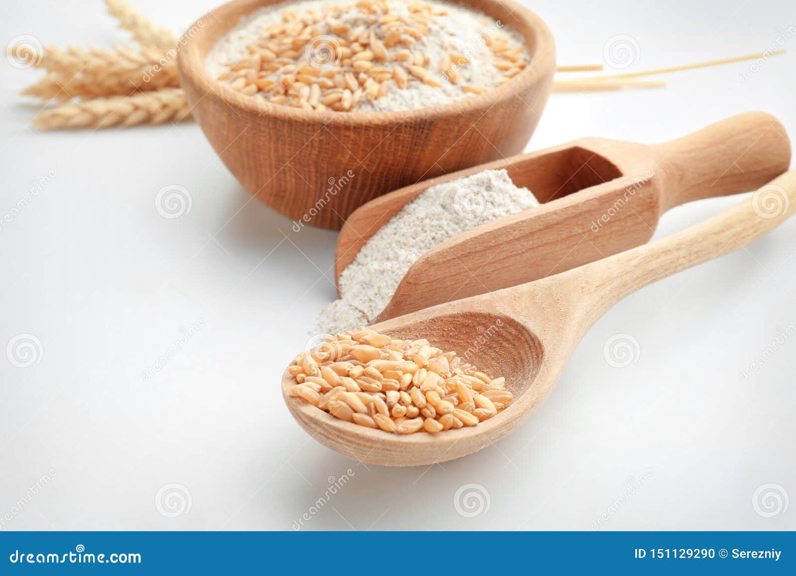 Spoon with Wheat Grains and Scoop with Flour on White Background Stock ...