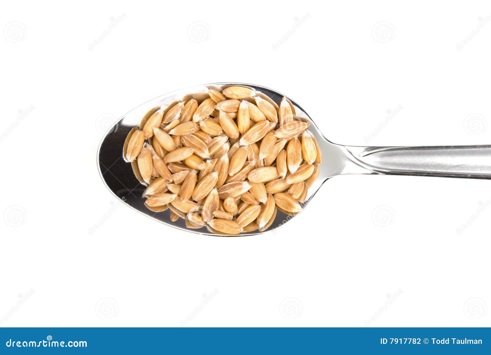 Spoon of whole wheat stock photo. Image of agriculture - 7917782