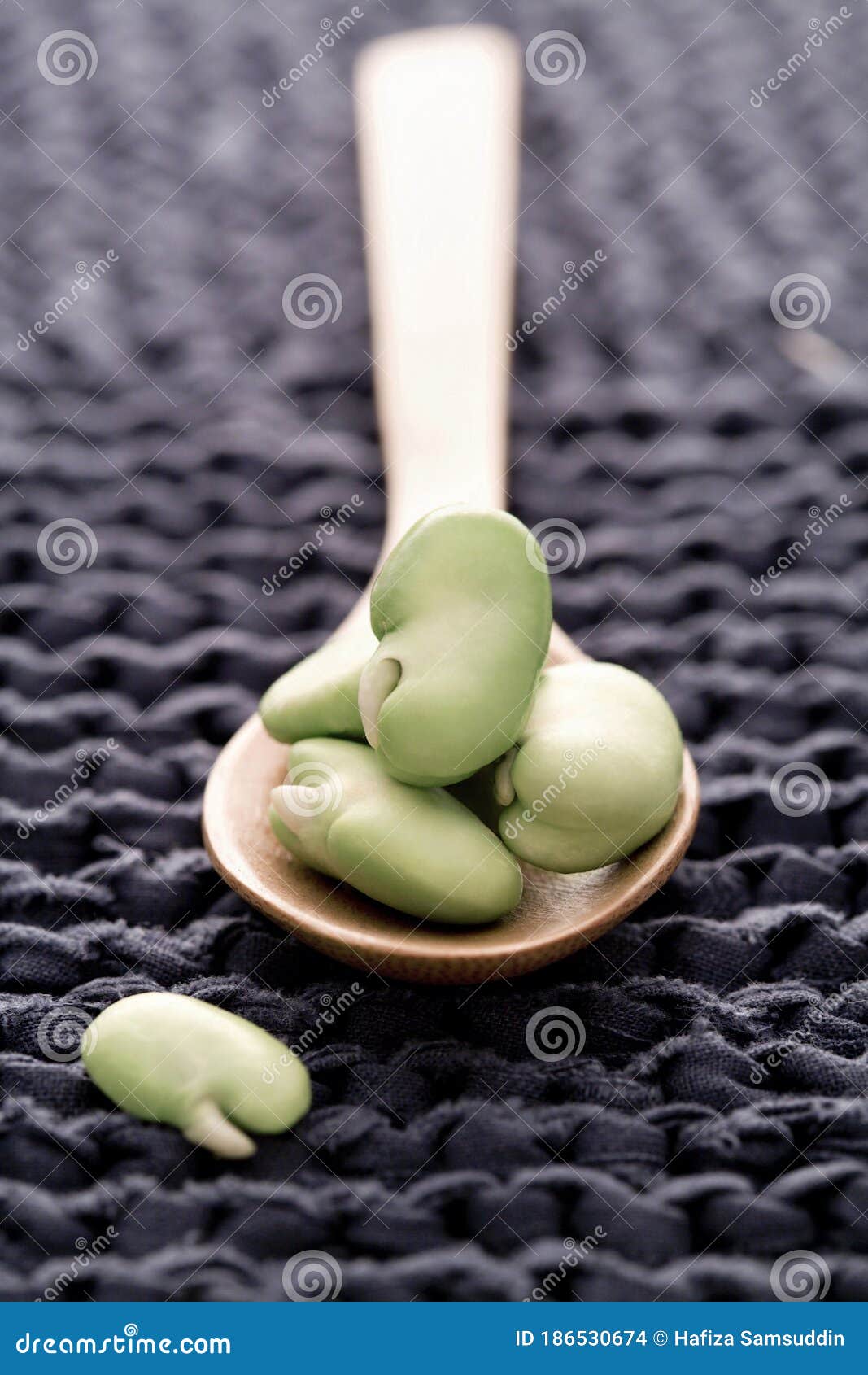 A Spoonful of Broad Beans. Conceptual Image Stock Photo - Image of faba ...