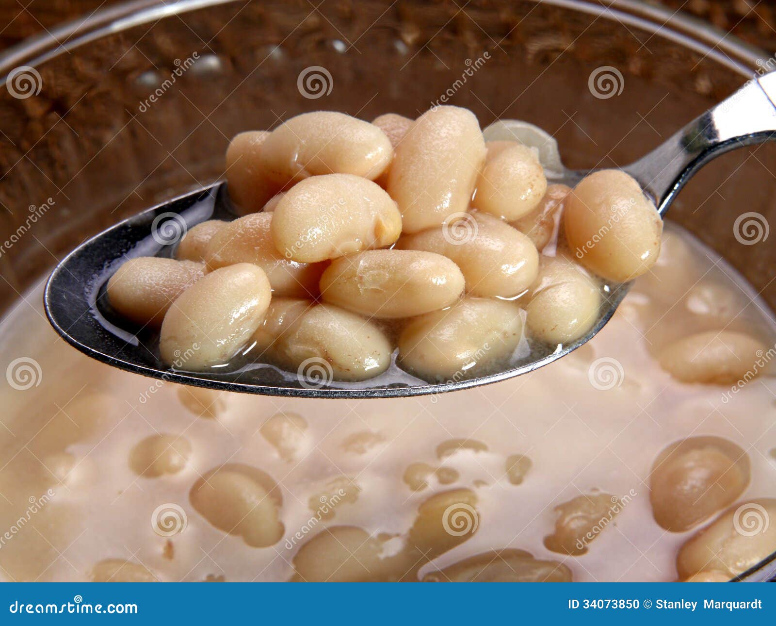 Spoonful of Great Northern Beans Stock Photo - Image of great, fiber ...