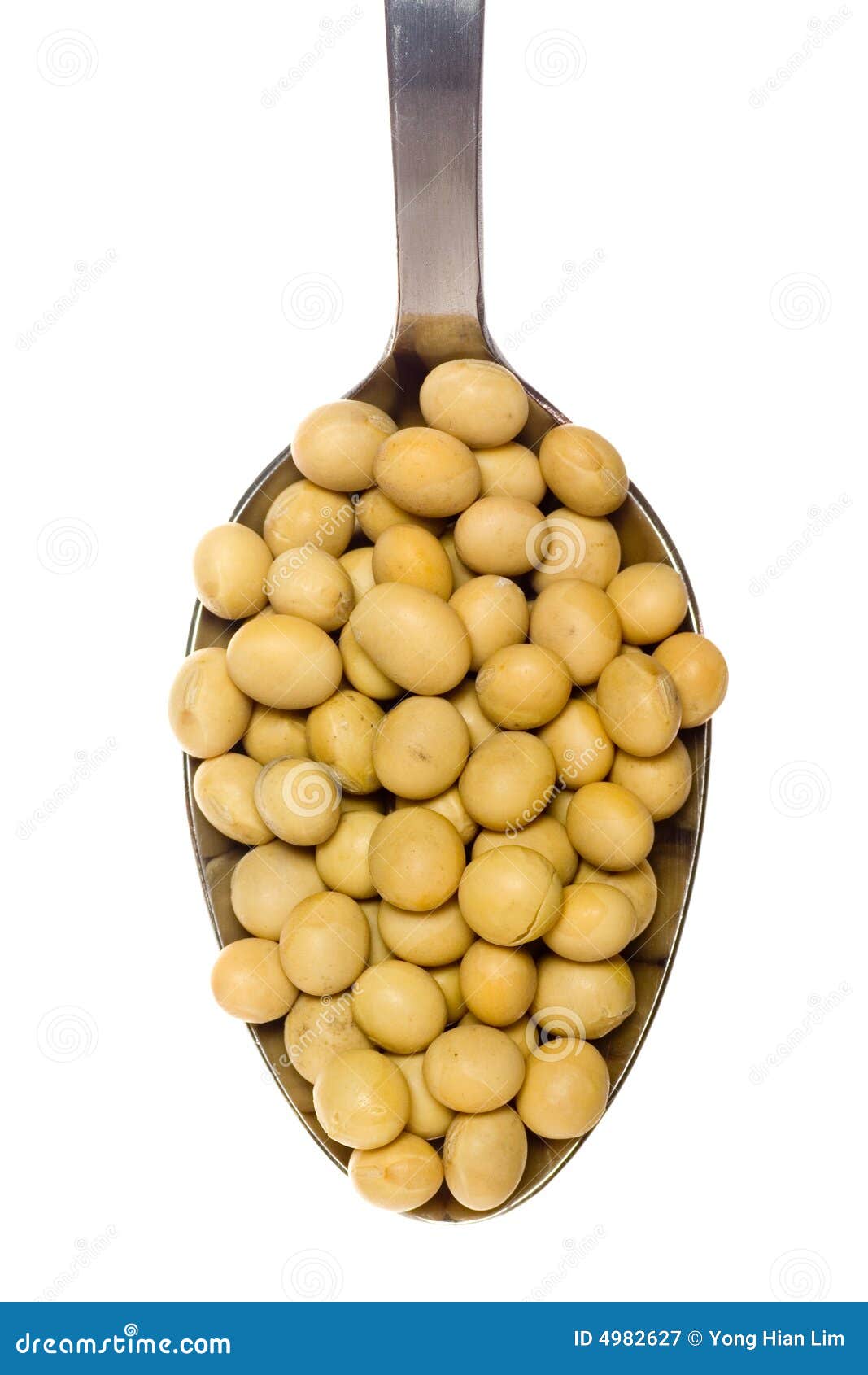 Spoonful of soy beans stock image. Image of nutrition - 4982627