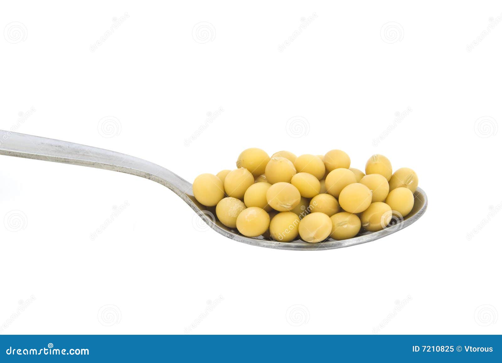 Spoonful of soy beans stock image. Image of white, tasty - 7210825