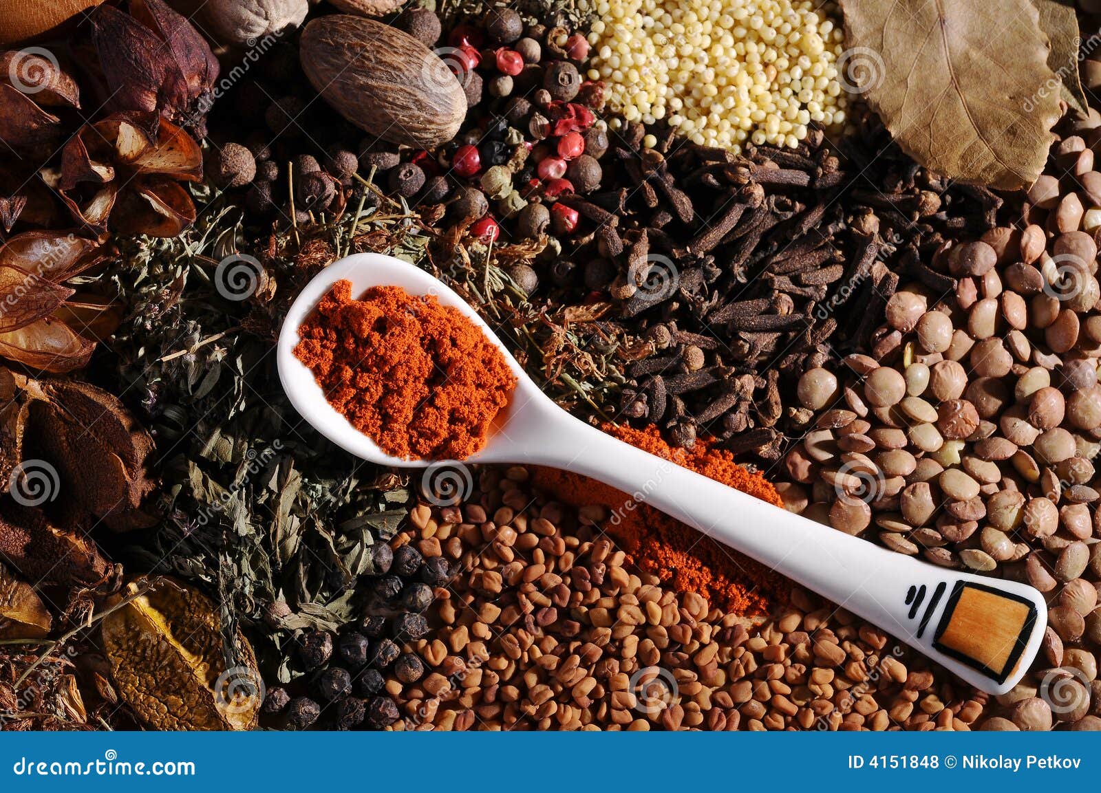 Spoonful of spice stock photo. Image of flavour, pods - 4151848