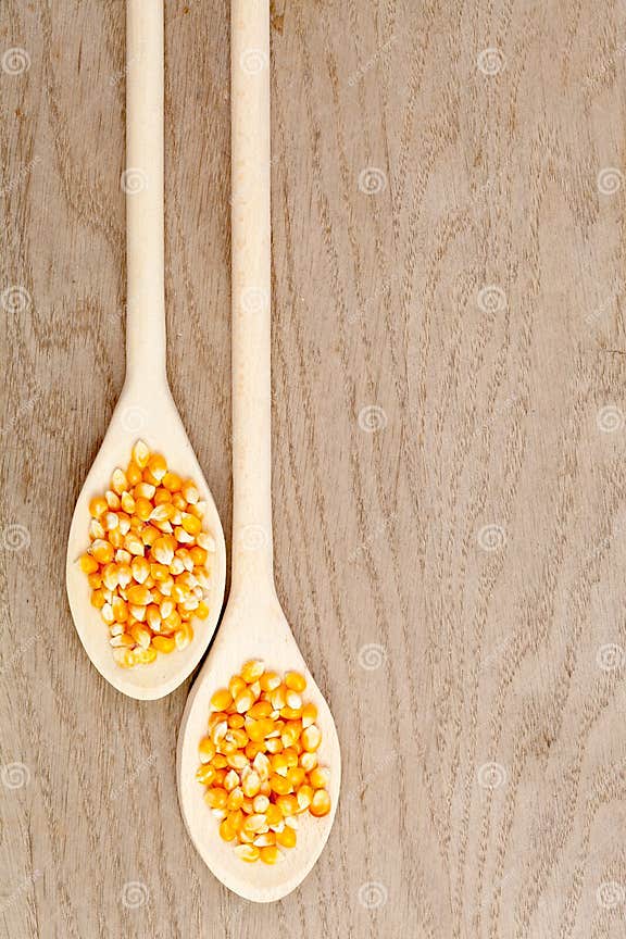 Spoons with corn grain stock photo. Image of seeds, harvest - 36326674