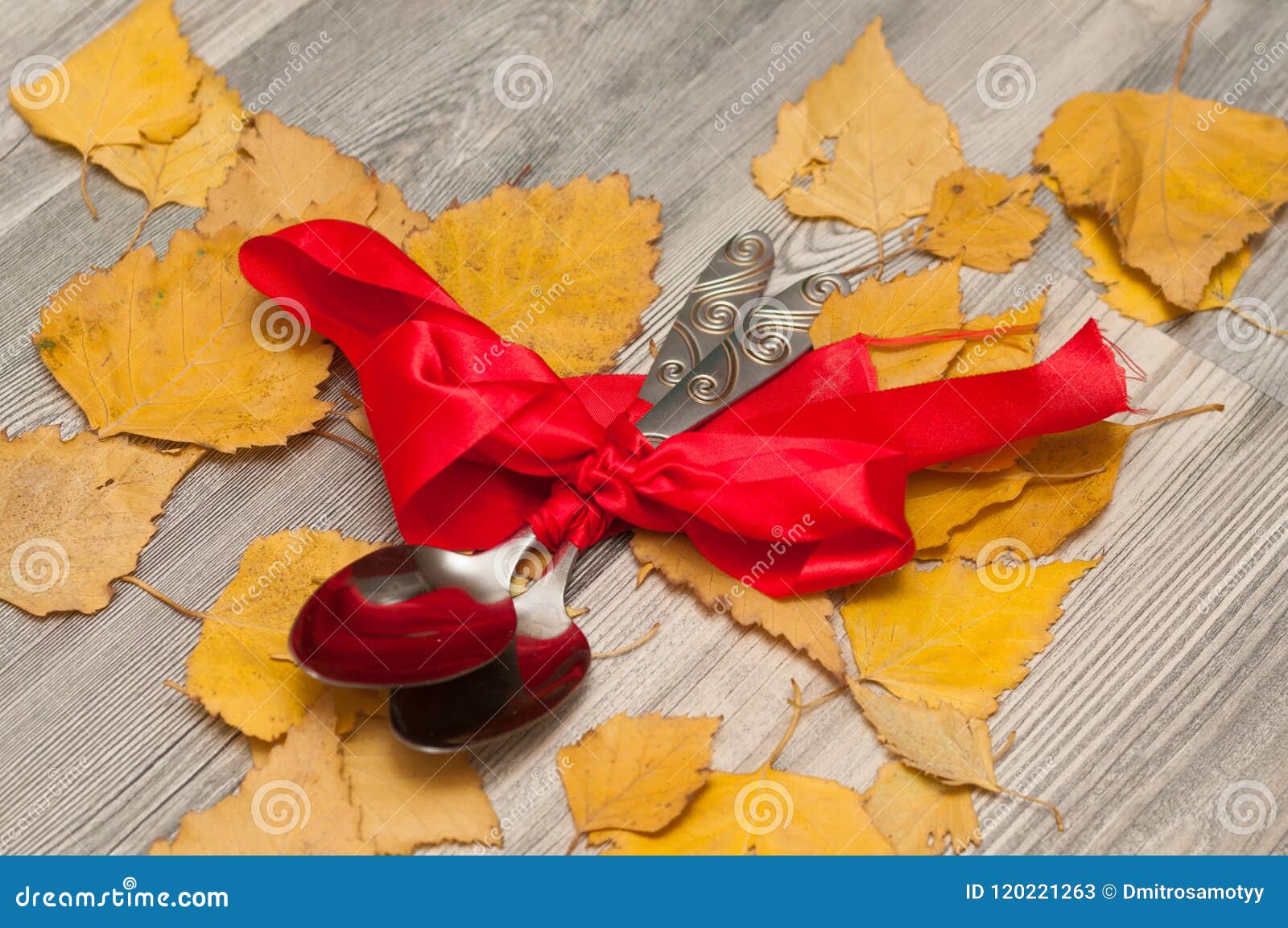Spoons are Wrapped in a Red Ribbon with a Bow As a Gift on the ...