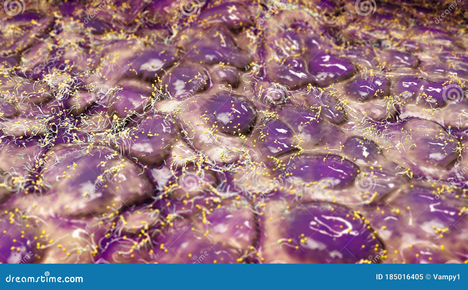 Spore Propagation, Spread of a Virus, Pollen and Inflorescences ...