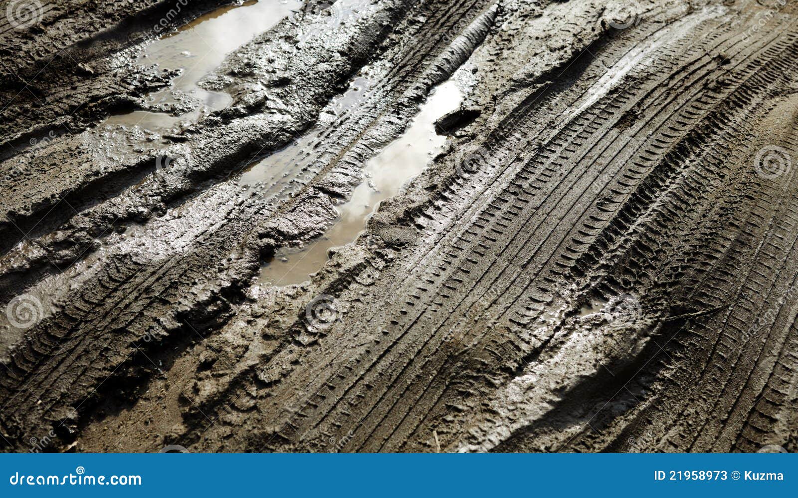 Sporen in de modder stock afbeelding. Image of bruin - 21958973