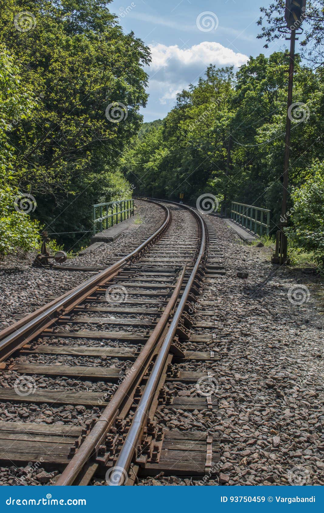 Sporen in het bos stock afbeelding. Image of verkeer - 93750459