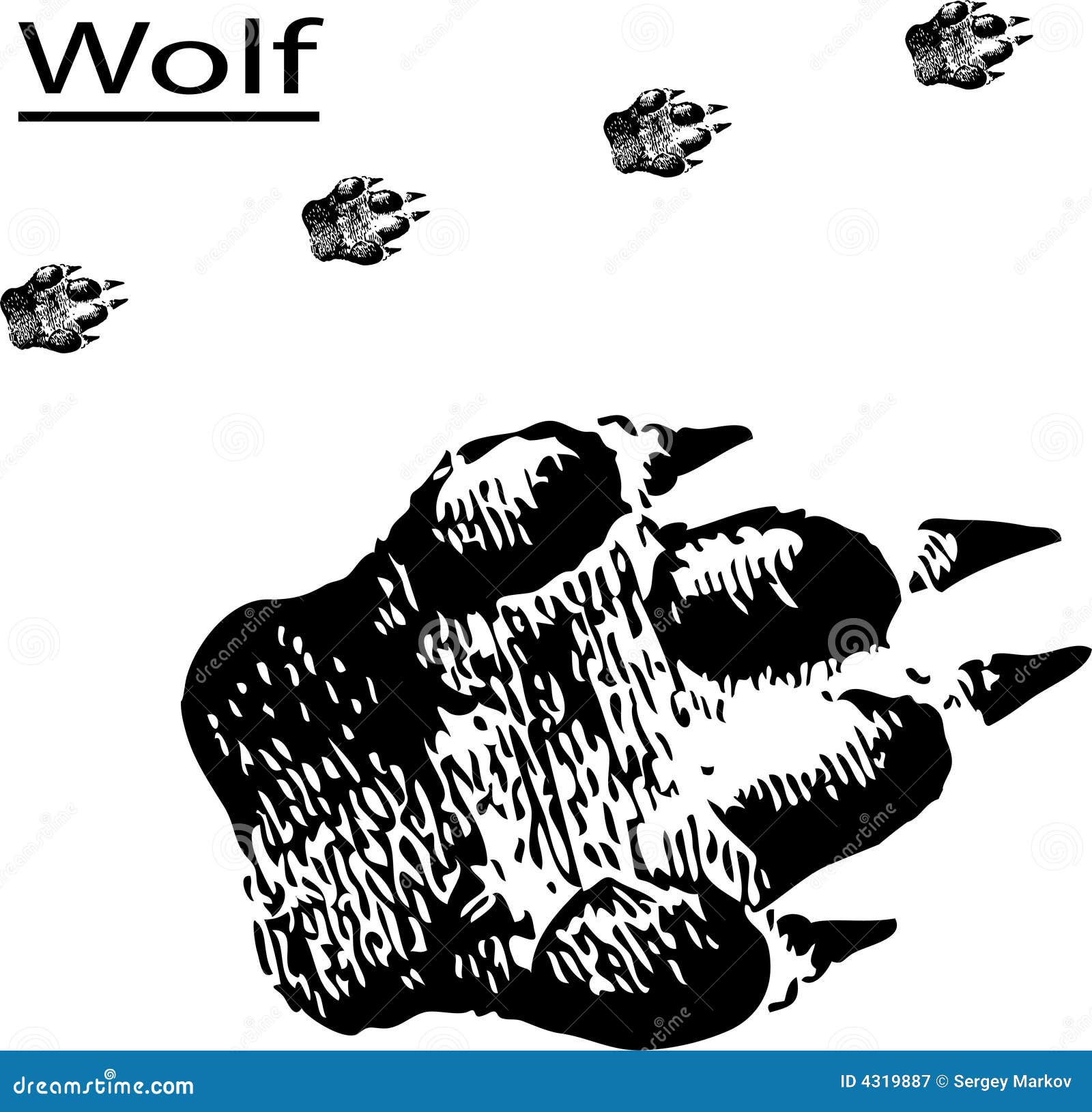 Sporen - Wolf vector illustratie. Illustration of elementen - 4319887