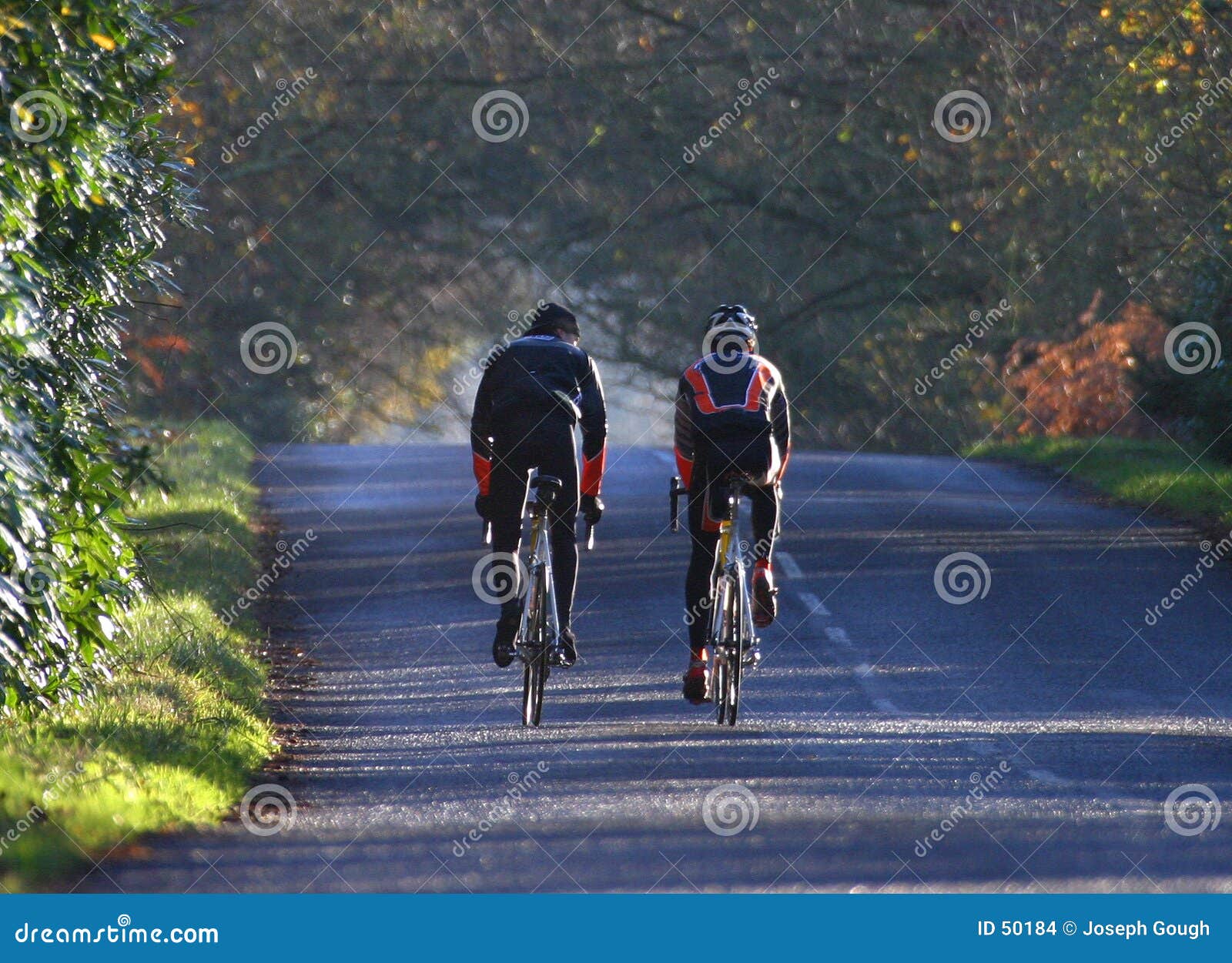 Sport Cycle Training Ride stock photo. Image of fitness - 50184