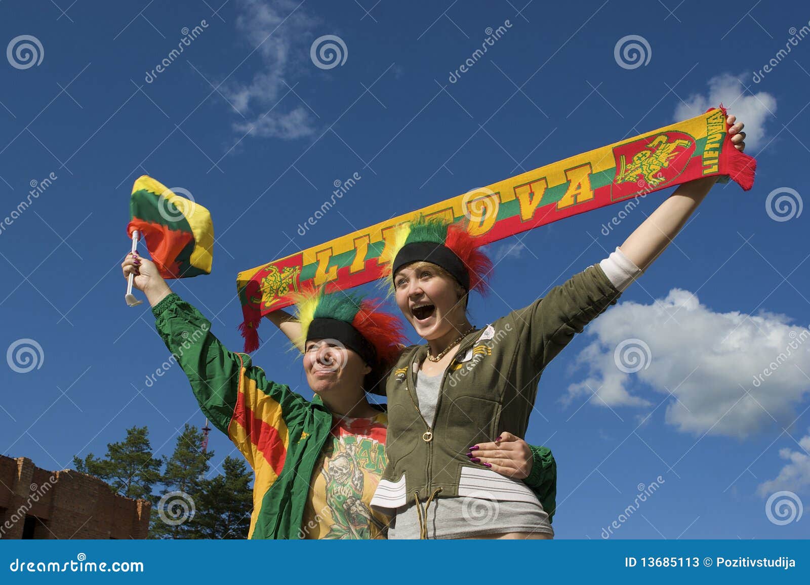 Sport fans stock image. Image of competitions, leisure - 13685113