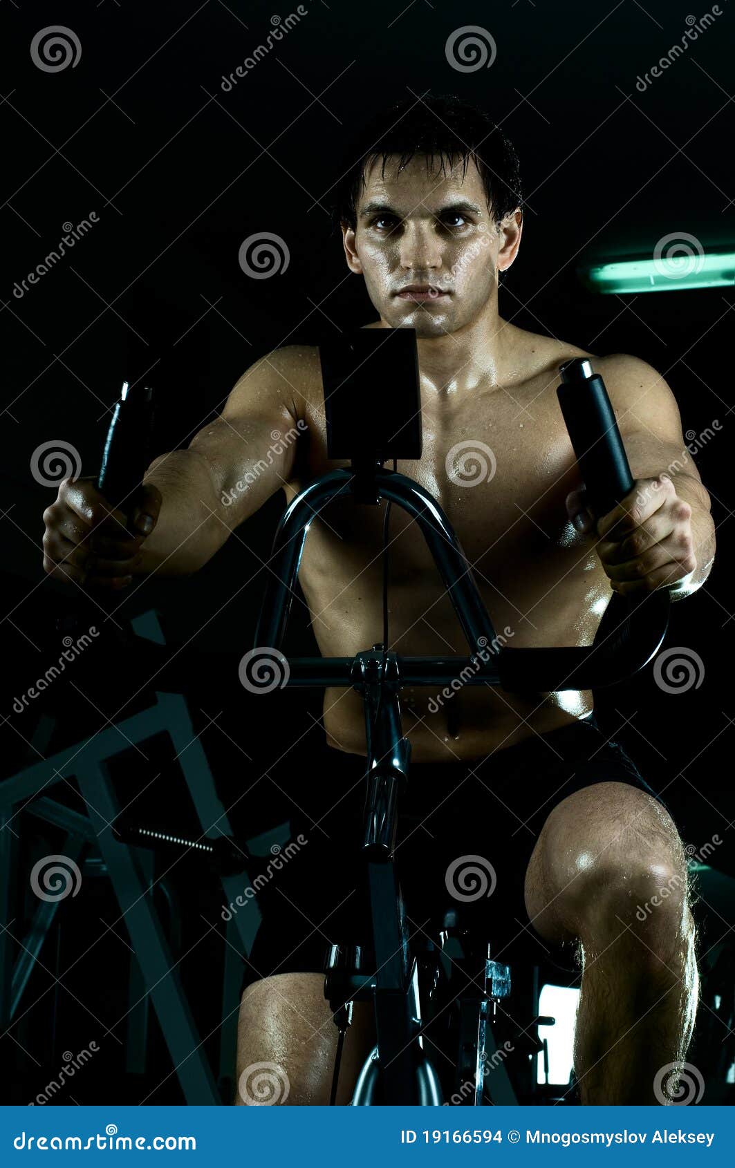 Sport guy stock photo. Image of hardy, sporting, trained - 19166594