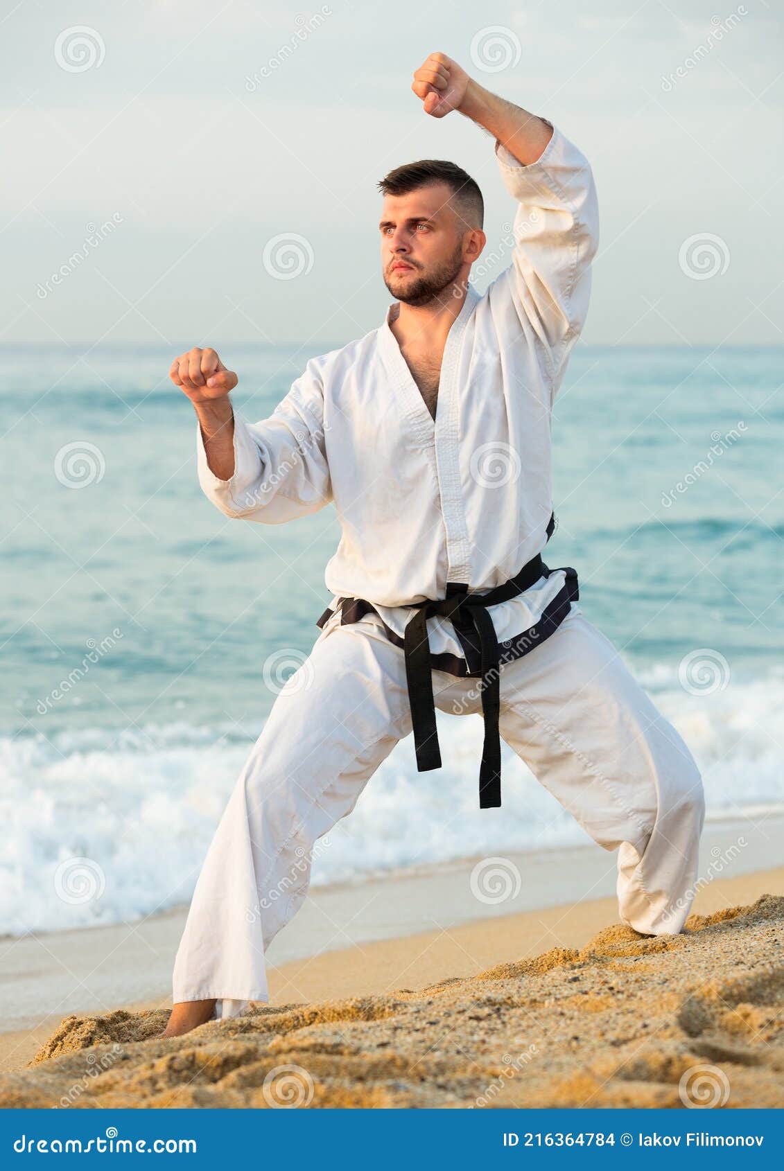 Sport Guy Practising Karate Kata Poses Stock Photo - Image of water ...