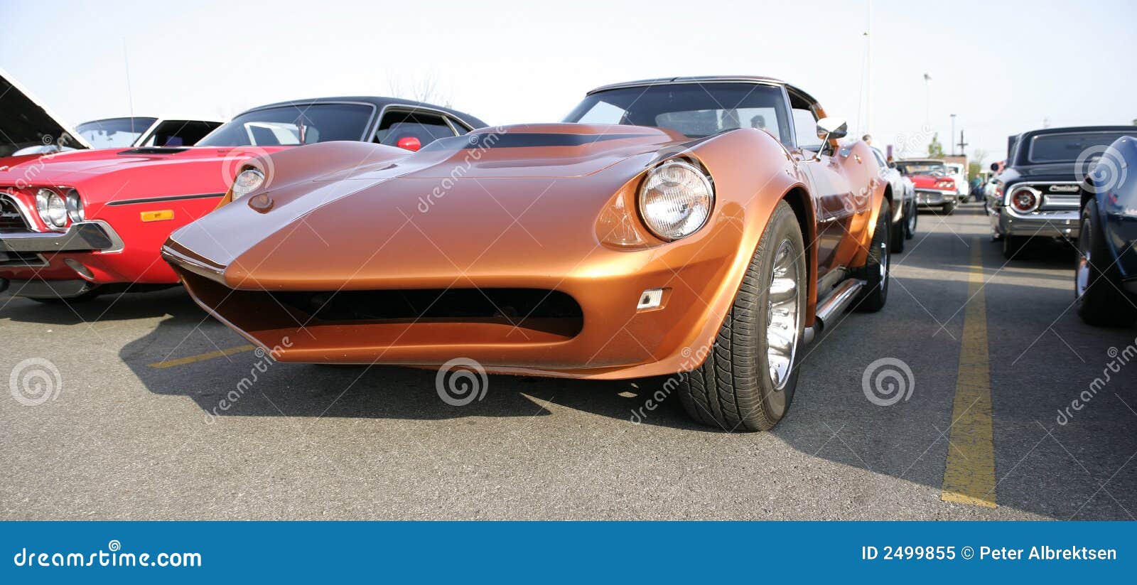 Sportauto Bild. Bild: 2499855