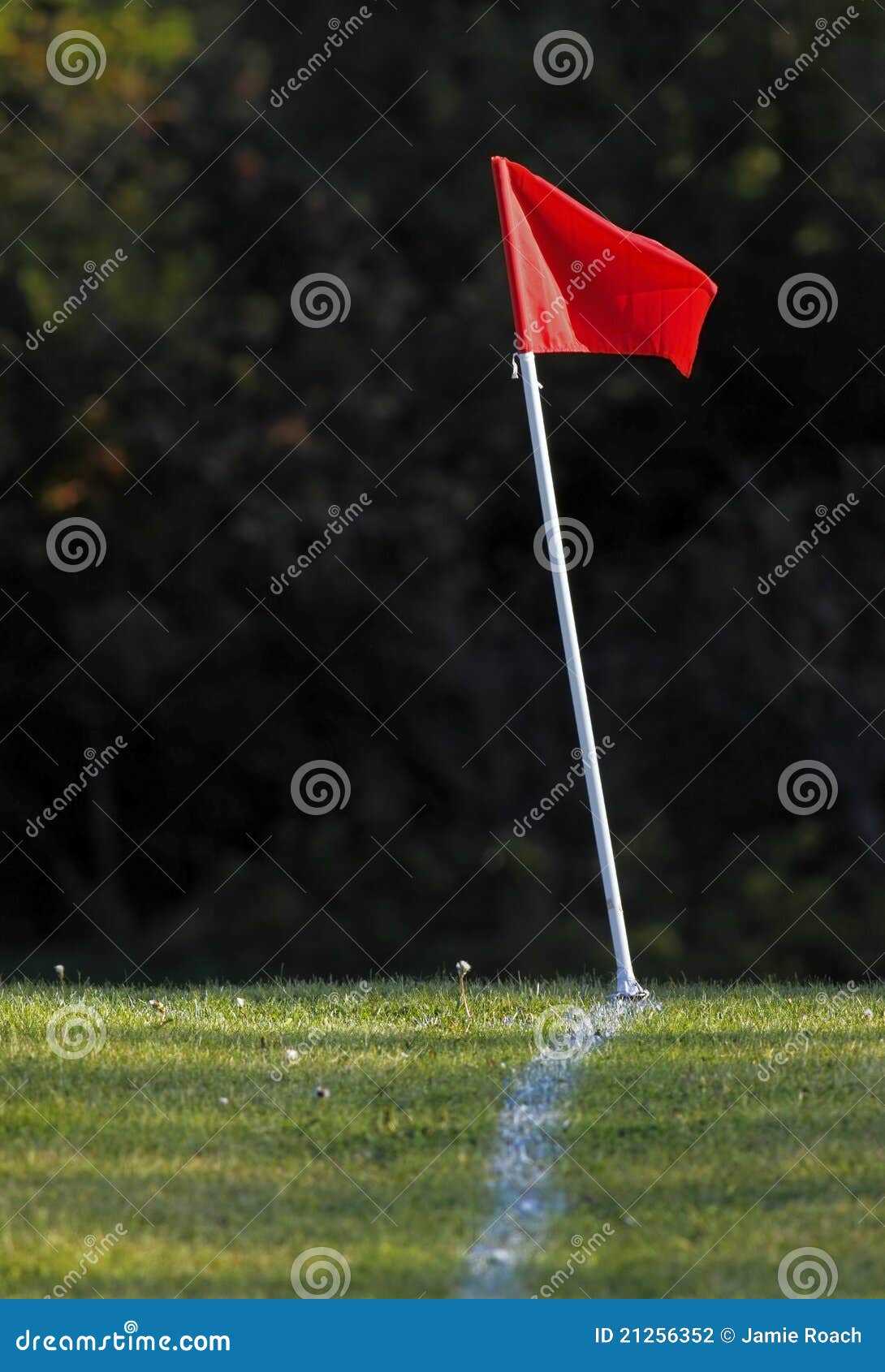 Sports Corner Flag Field Grass Line Stock Photo - Image of nature ...