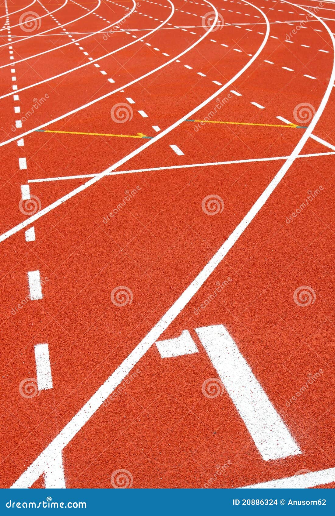 Sports field stock photo. Image of school, fitness, five - 20886324