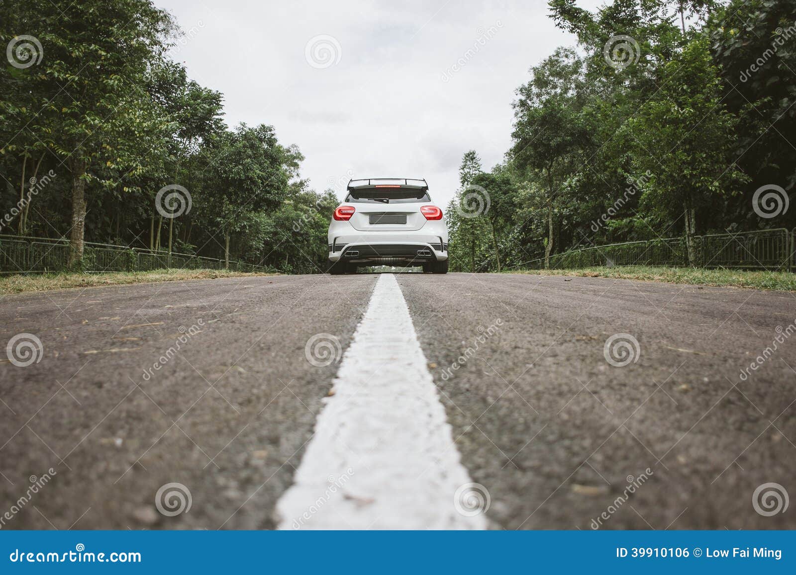 Sports hatchback stock photo. Image of park, line, trees - 39910106