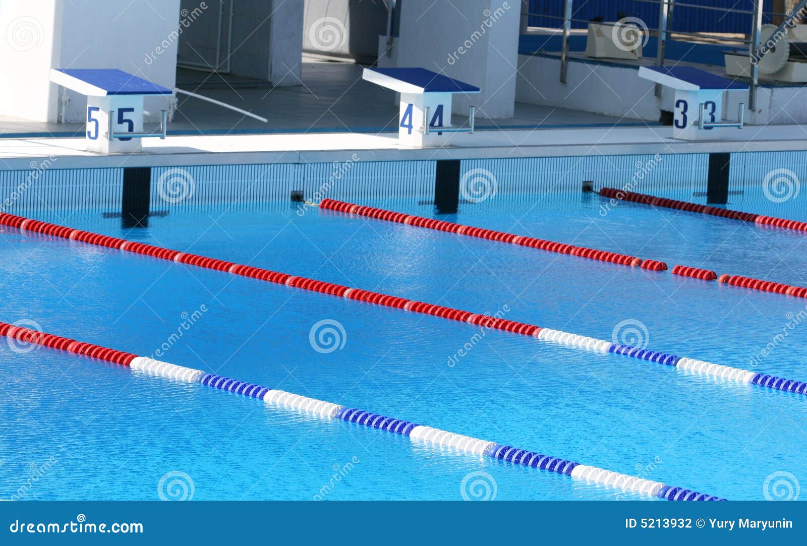 Sports pool stock photo. Image of transparent, pool, olympic - 5213932
