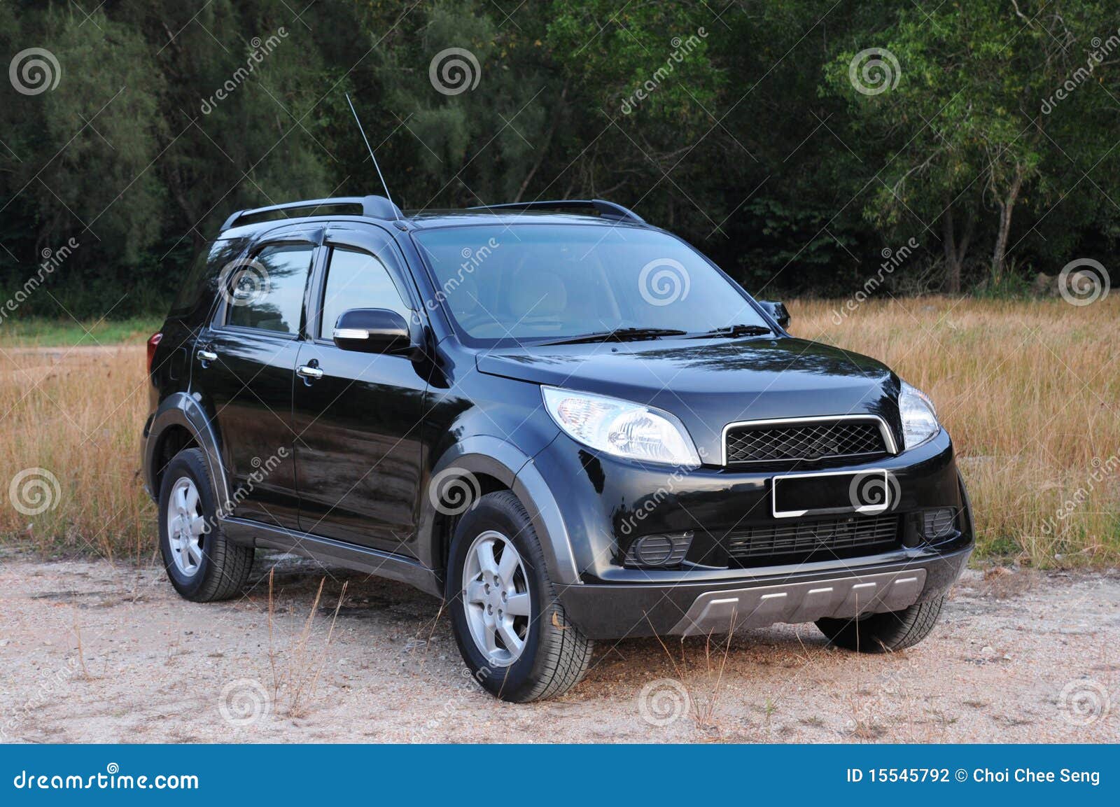 Sports utility vehicle stock photo. Image of tree, sports - 15545792
