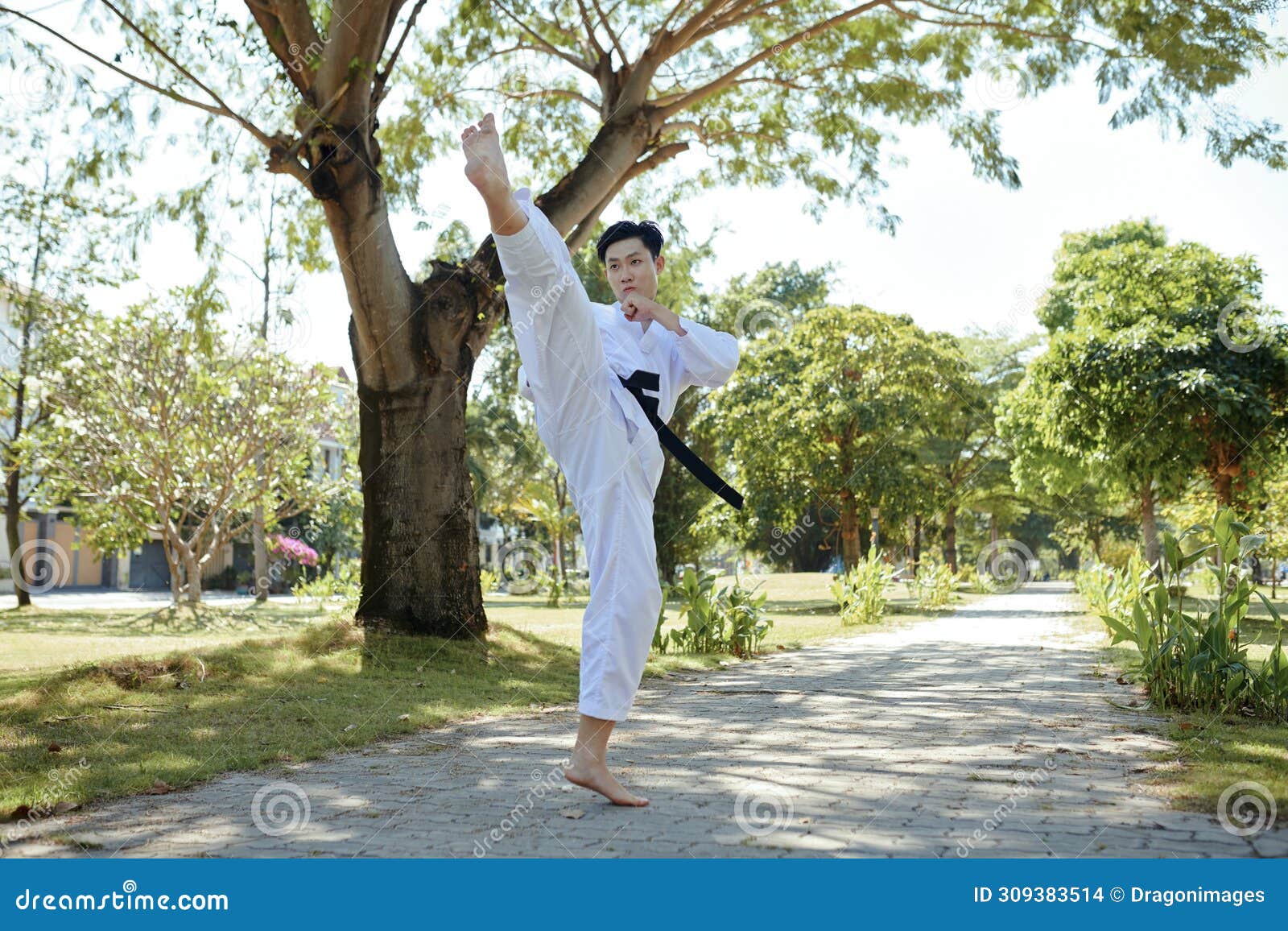 Sportsman Practicing Front Kick Stock Photo - Image of competition ...