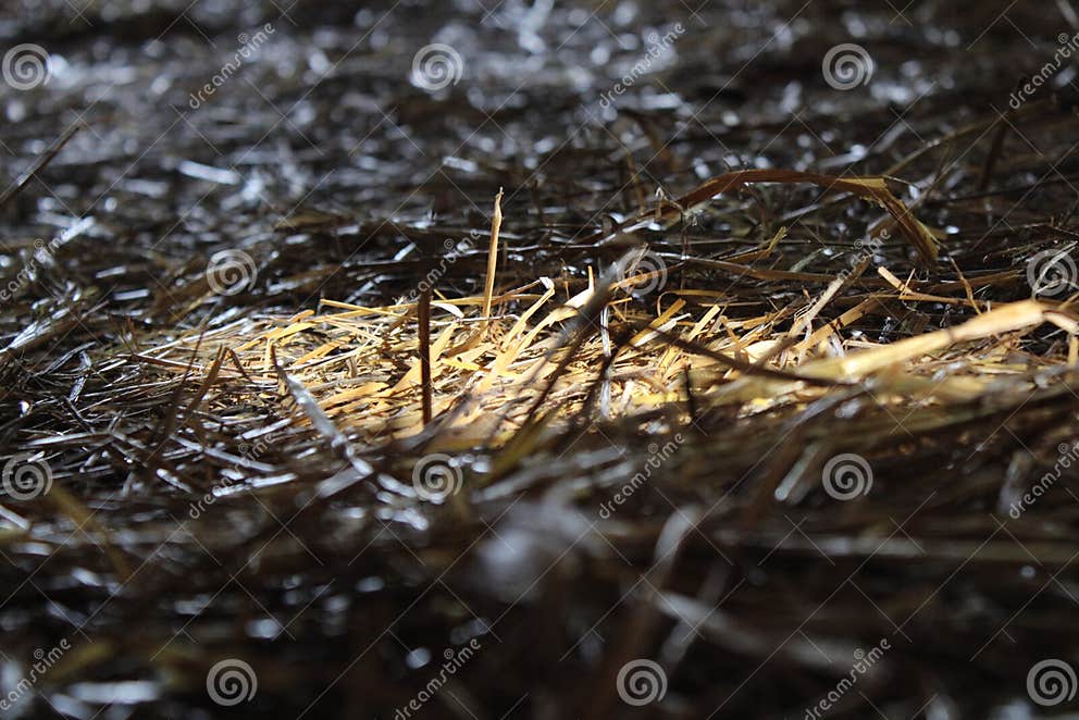 Spot light on hay stock image. Image of creating, falls - 132558697