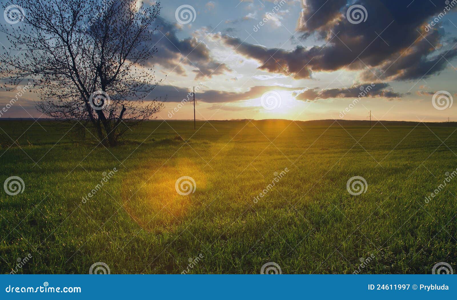 Spot of sunlight stock image. Image of sunlight, field - 24611997