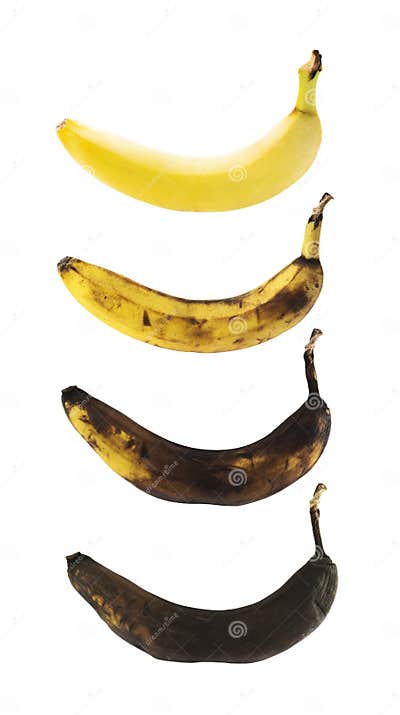 Spotless Banana in a Process of Decompose Stock Image - Image of aging ...